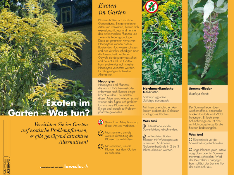 Invasive Neophyten — Umsicht